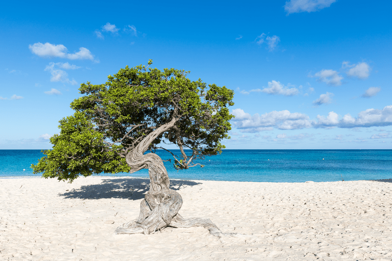 Entry Requirements for Aruba
